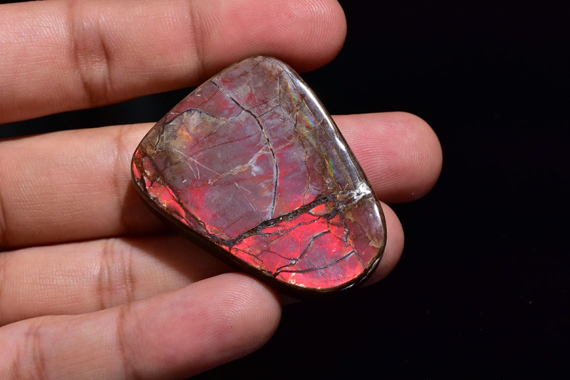 Rare Natural Canadian Fossil Red Ammolite Fancy Cabochon Loose Stone ...