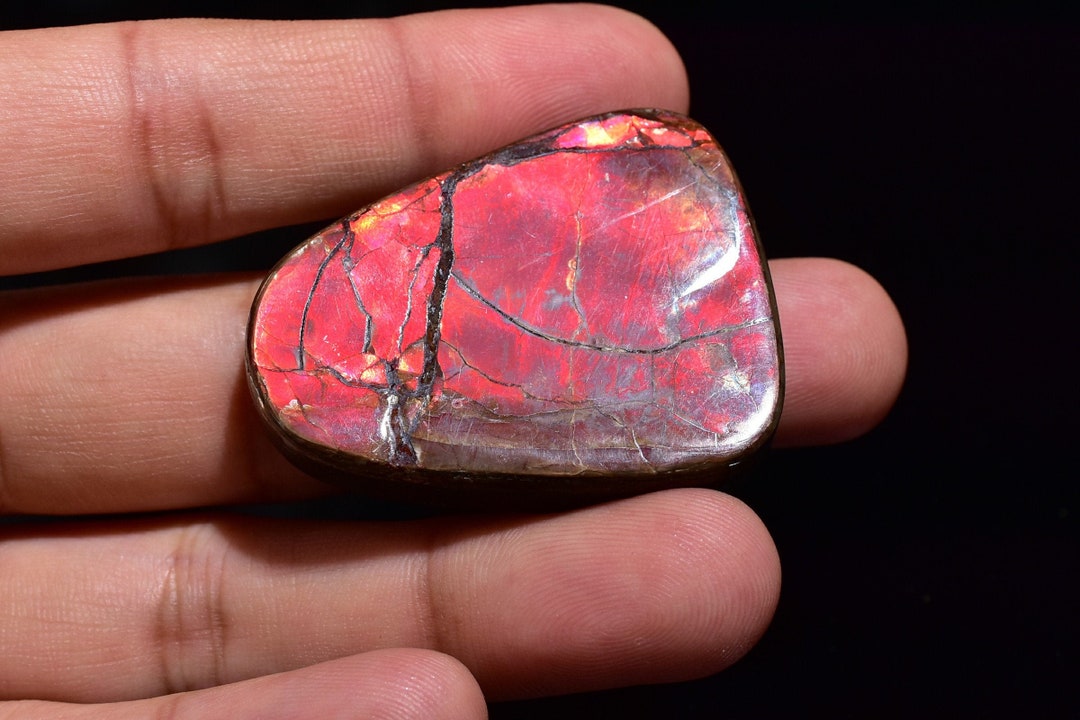 Rare Natural Canadian Fossil Red Ammolite Fancy Cabochon Loose Stone ...