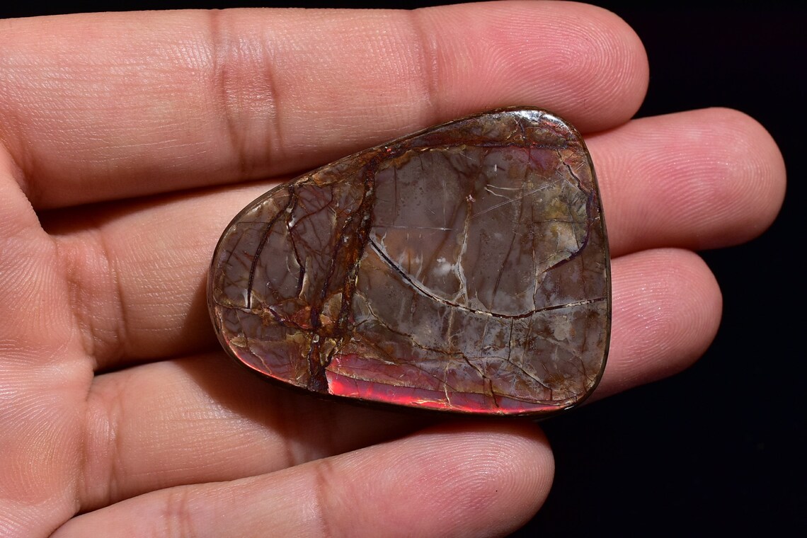 Rare Natural Canadian Fossil Red Ammolite Fancy Cabochon Loose Stone ...
