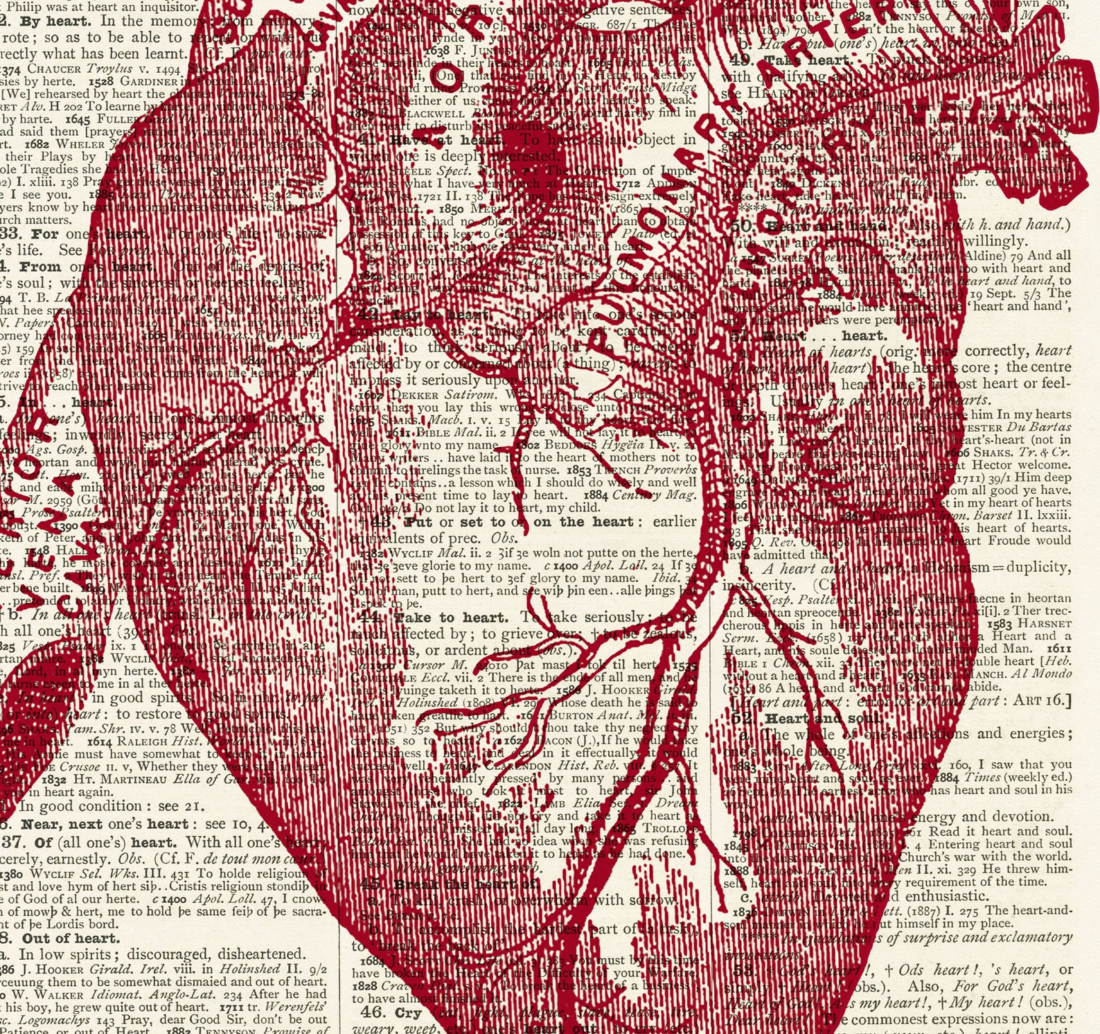 Personalised Anatomical Heart Print Doctor Art Print | Etsy