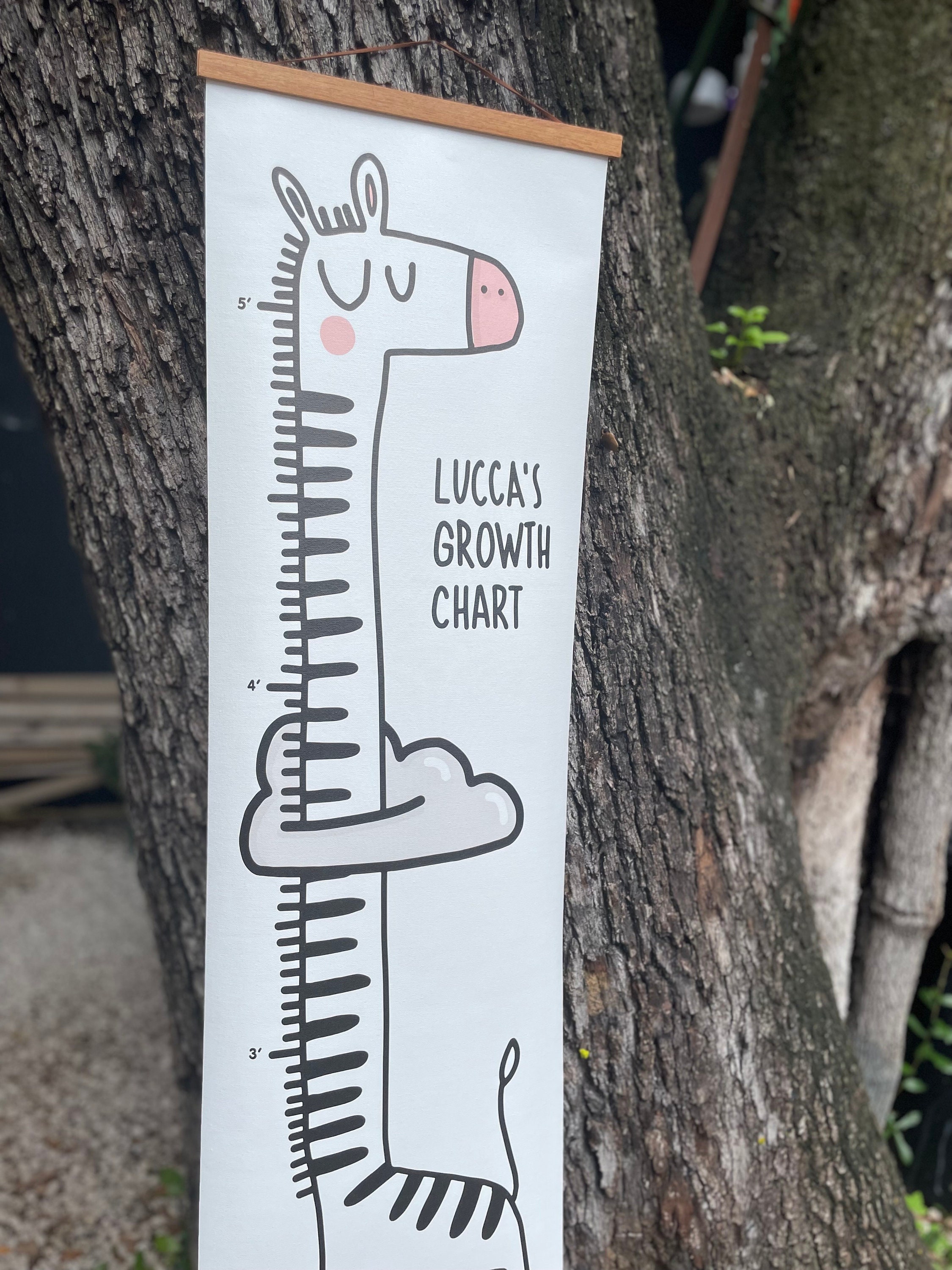 Zebra Growth Chart. Safari Animals Canvas Height Chart. - Etsy