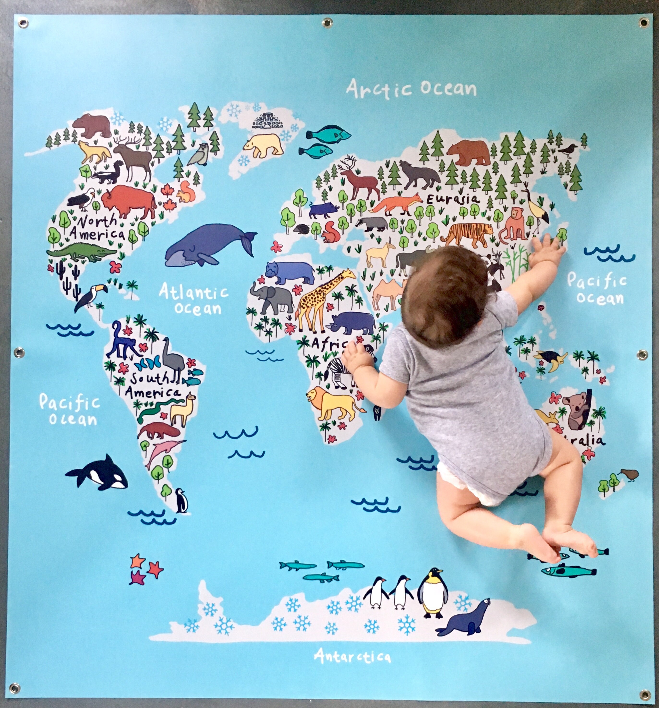 World Animal Map Play Mat. Kids Room Art Animal Art Nursery | Etsy