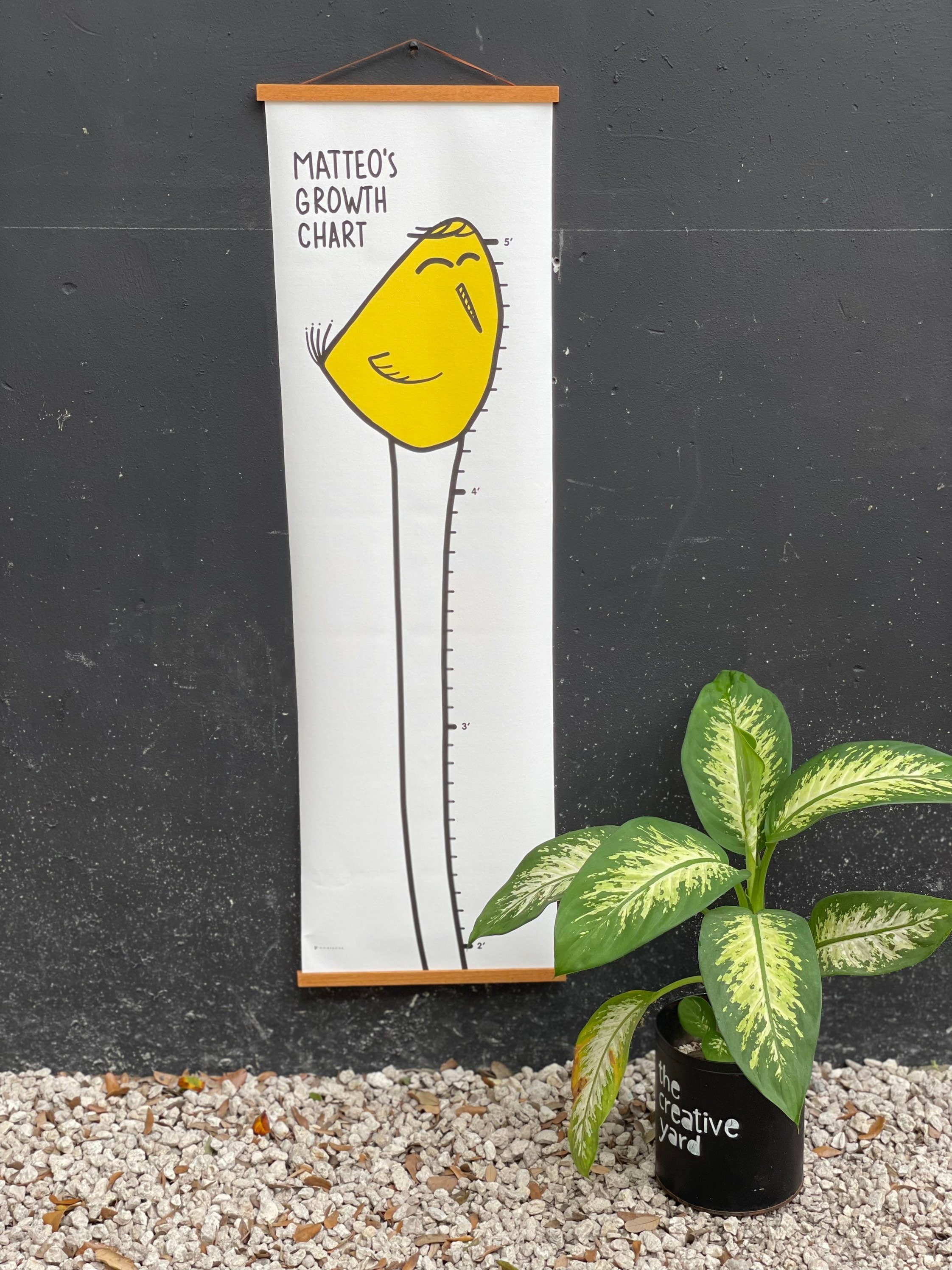 Little Bird Growth Chart for Kids . Personalized Height Chart - Etsy