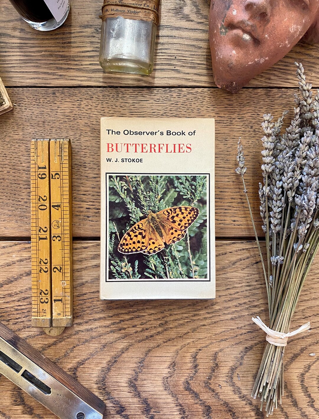 Butterflies - Observer Book - 1977 Vintage Illustrated Nature Book - Etsy