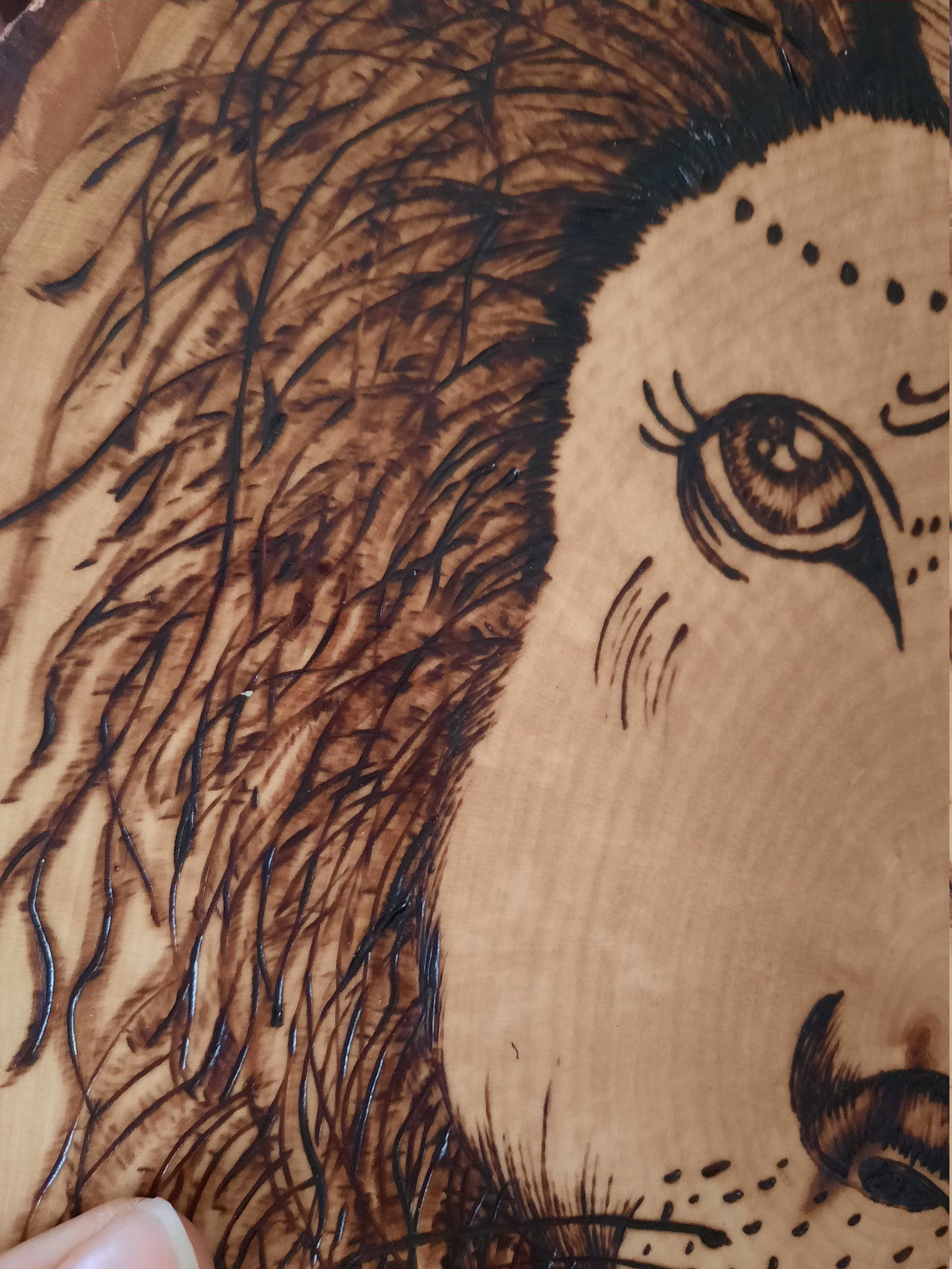Wood Burned Boho Lion Head Wood Slab Sign - Etsy