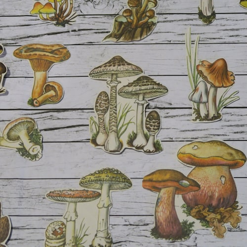 Paper, Party & Kids Stickers Craft Supplies & Tools Bullet Journal ...