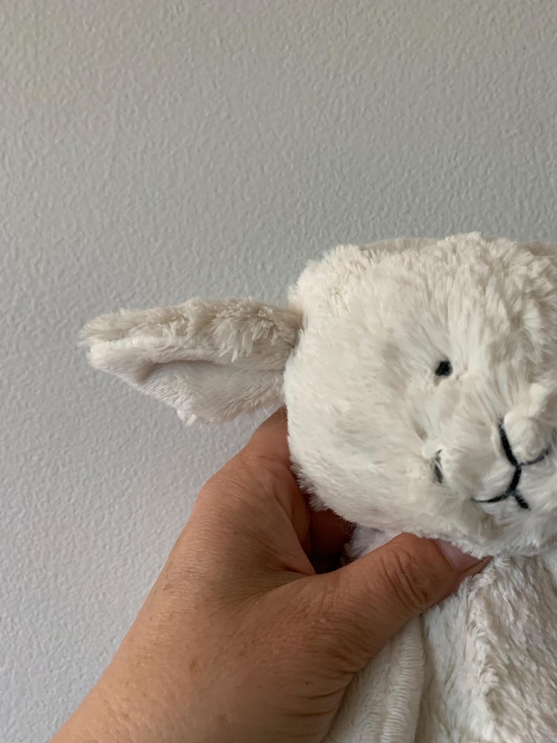 Cheesecake is Your Extra Floppy & Cuddly Lamb Pal. - Etsy