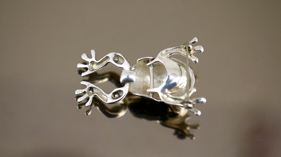 Vintage Shiny Frog Jumping Reptile Animal Design Broo… - Gem