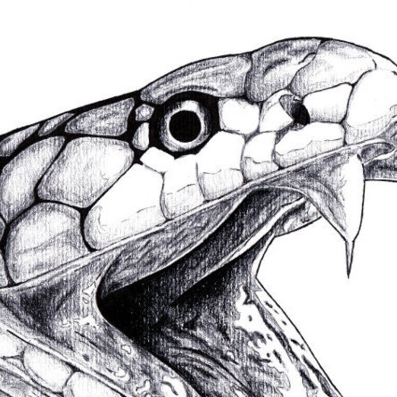 Cobra Snake handmade Drawing Instant Download Digital Print | Etsy