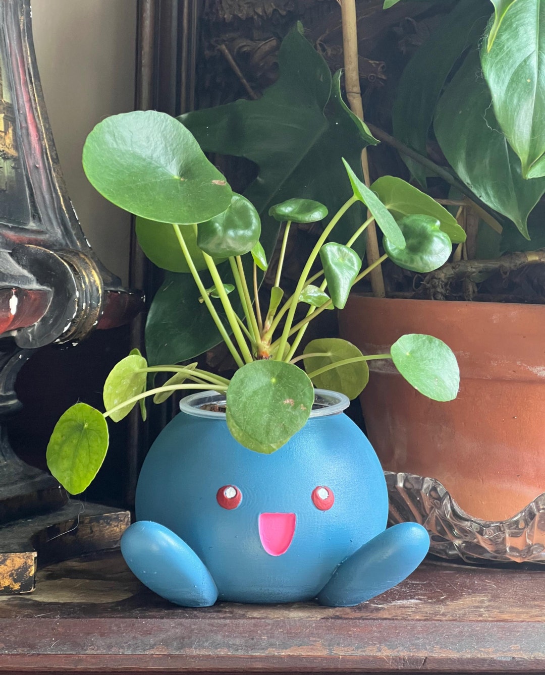 Mandrake Planter 3 Inch Pot Diameter Us Seller - Etsy