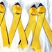 PIR Ribbons, NAVY Boot Camp Graduation Ribbons - Etsy