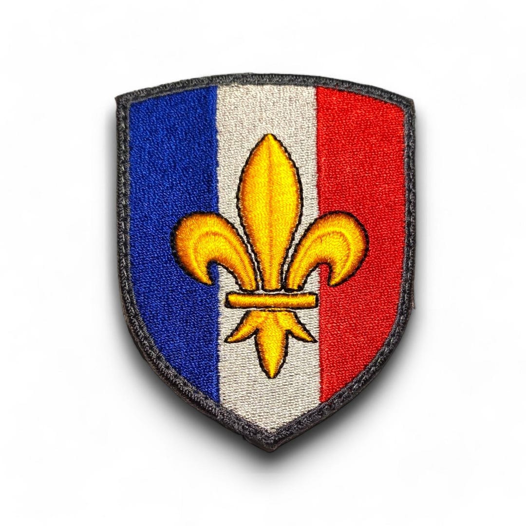 Amalric Fleur De Lys Shield of France - Etsy