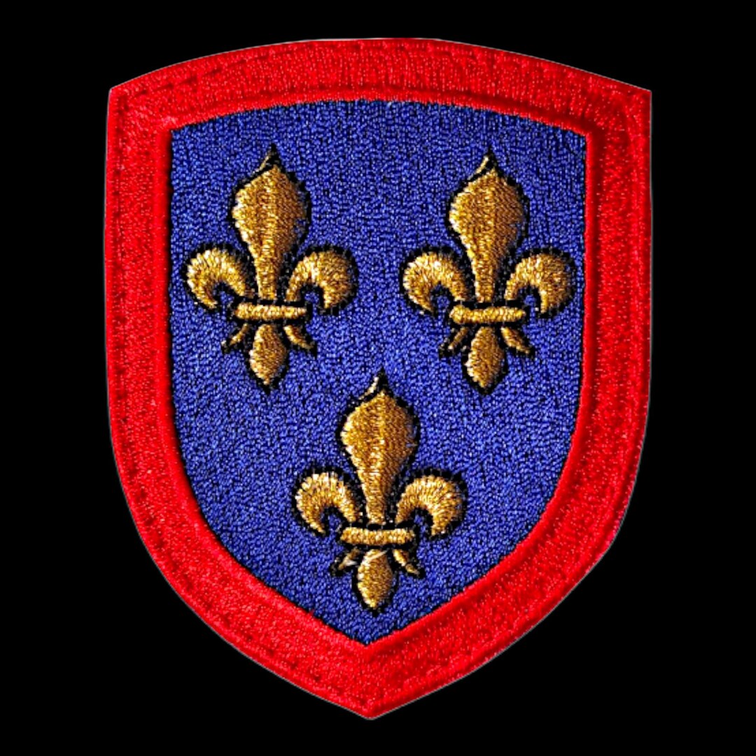 Anjou Coat of Arms Maine Et Loire - Etsy
