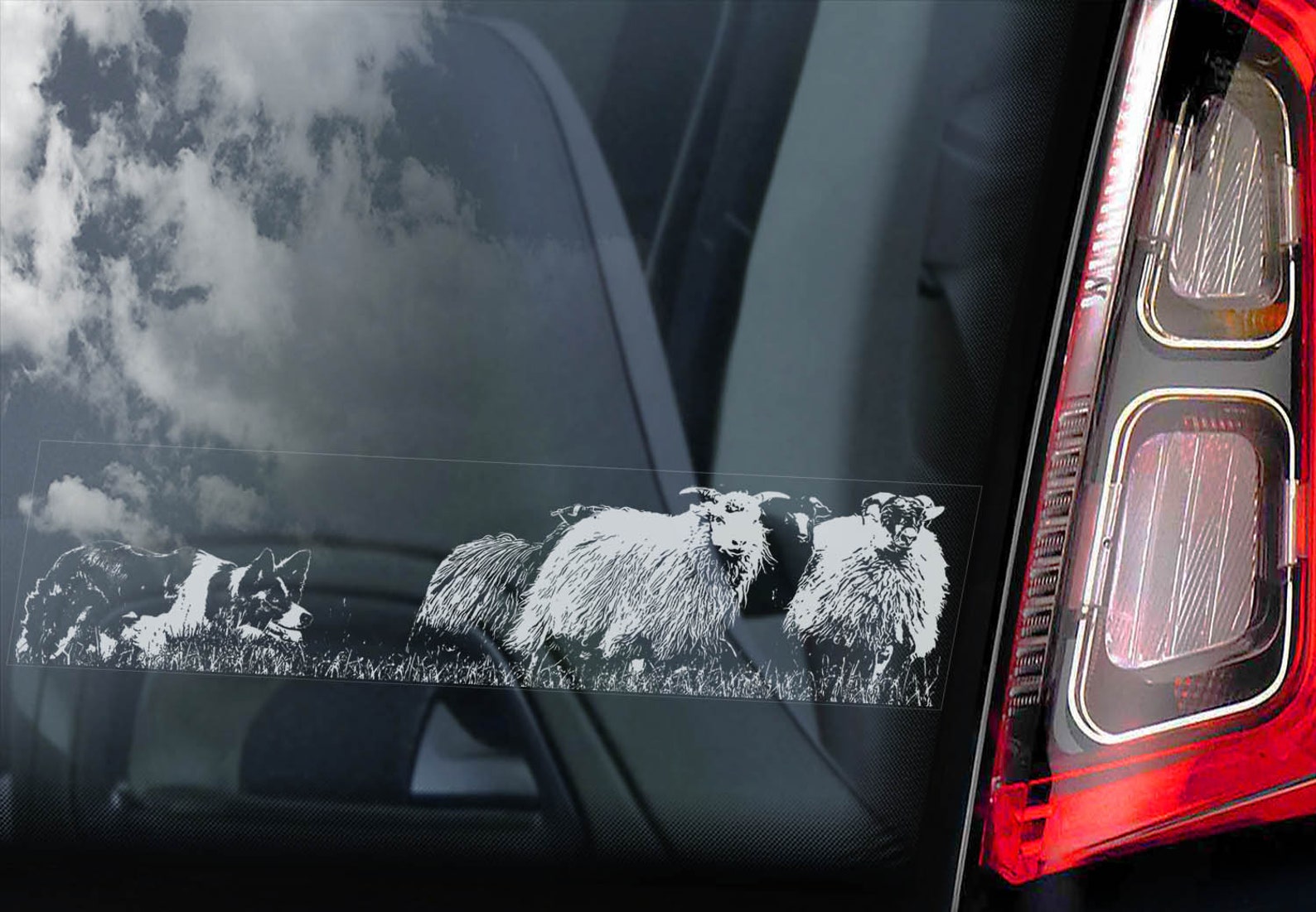 Border Collie - Car Window Sticker - Dog Sign Scottish Sheepdog Decal ...