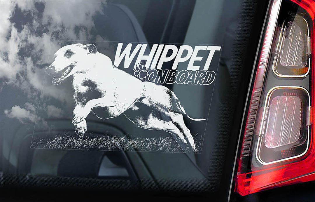 Whippet on Board - Car Window Sticker - English Snap Dog Sign Decal ...