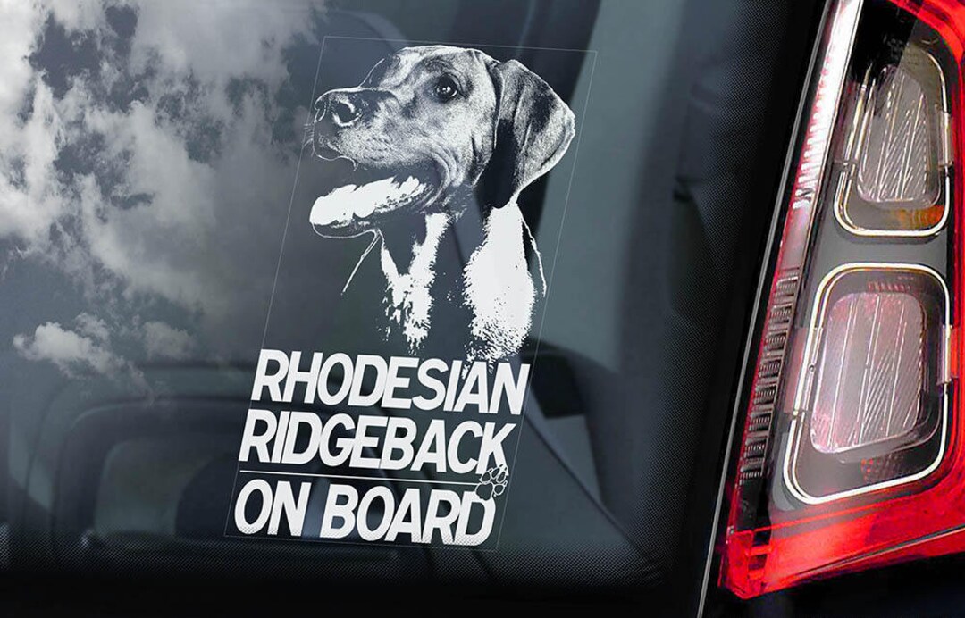 Rhodesian Ridgeback on Board - Car Window Sticker - African Lion Dog ...