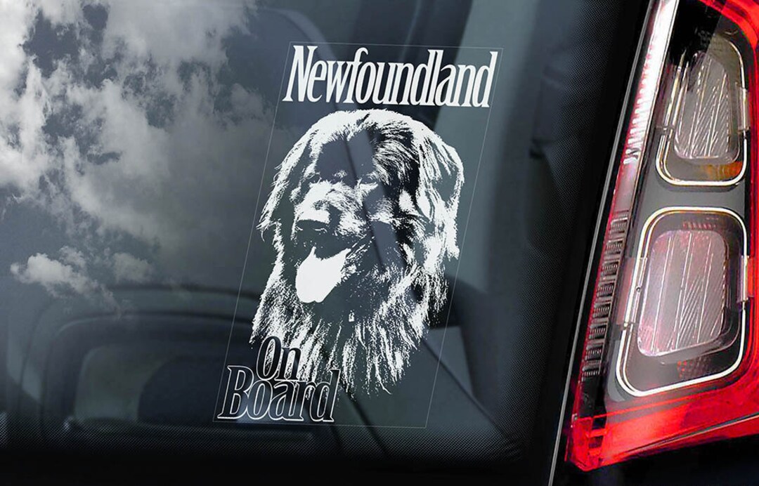 Newfoundland on Board - Car Window Sticker - Landseer Newfie Dog Sign ...