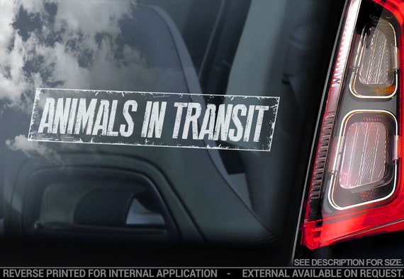 Animals in Transit Car Window Sticker Dog Bumper Sign - Etsy UK
