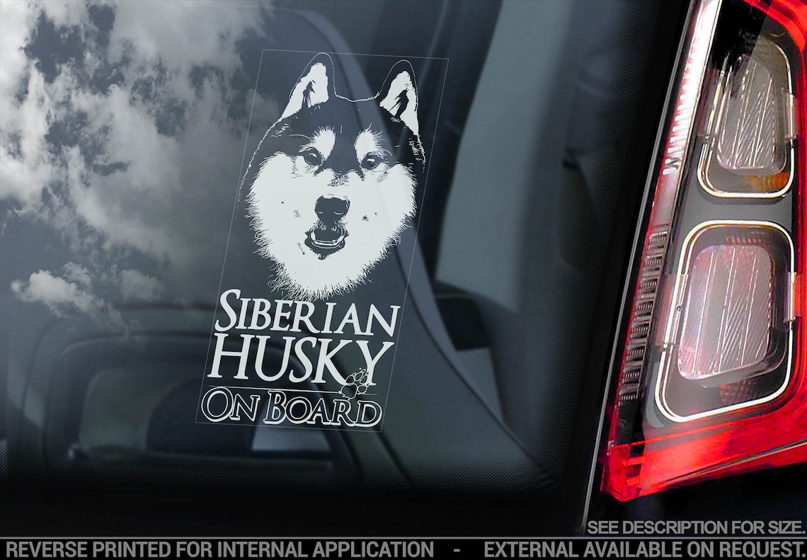 Siberian Husky on Board Car Window Sticker Huskie Sled Dog - Etsy UK