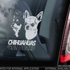 German Shepherd on Board Car Sticker Alsatian Dog GSD Window Bumper ...
