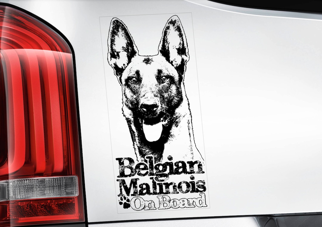 Belgian Malinois on Board - Car Window Sticker - Mechelse Herder Pastor ...