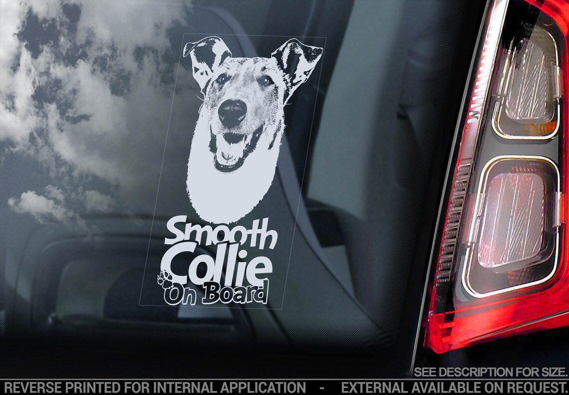 Smooth Collie Car Window Sticker Dog Sign Decal Sign Art - Etsy