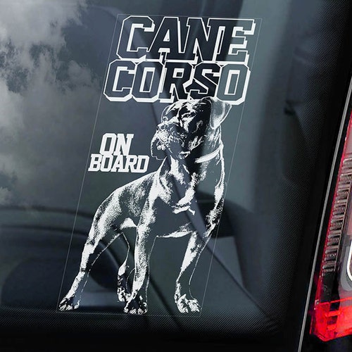 Cane Corso on Board Car Window Sticker Beware of the Dog - Etsy