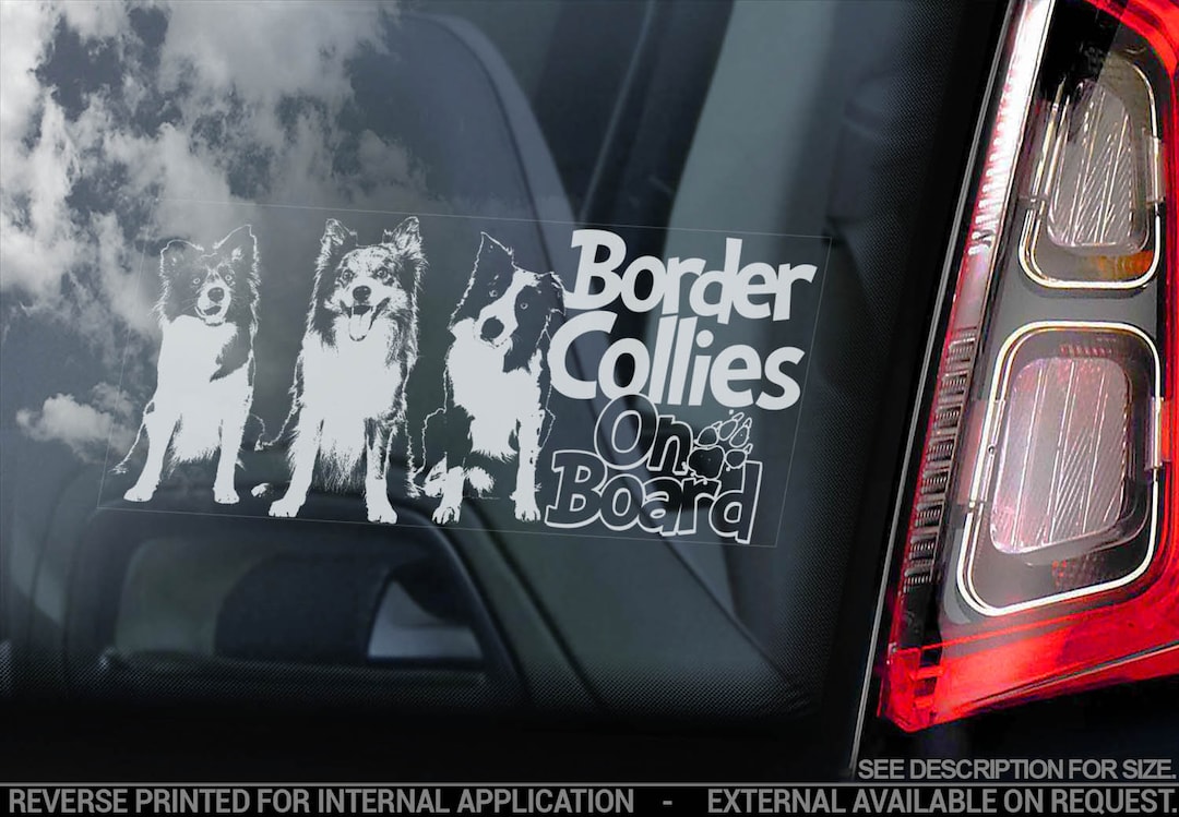 Border Collies on Board - Car Window Sticker - Collie Dog Sign Scottish ...