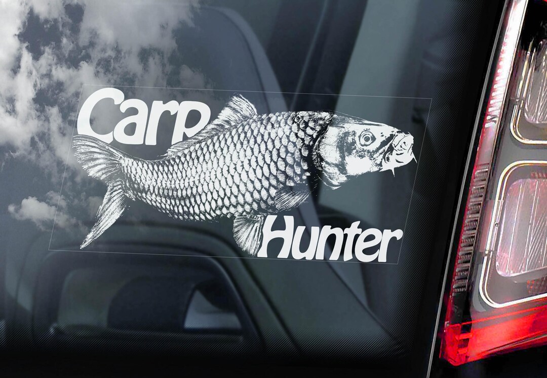 CARP HUNTER Fishing Sticker, Tackle Box Sign, Boat Car Window Decal ...