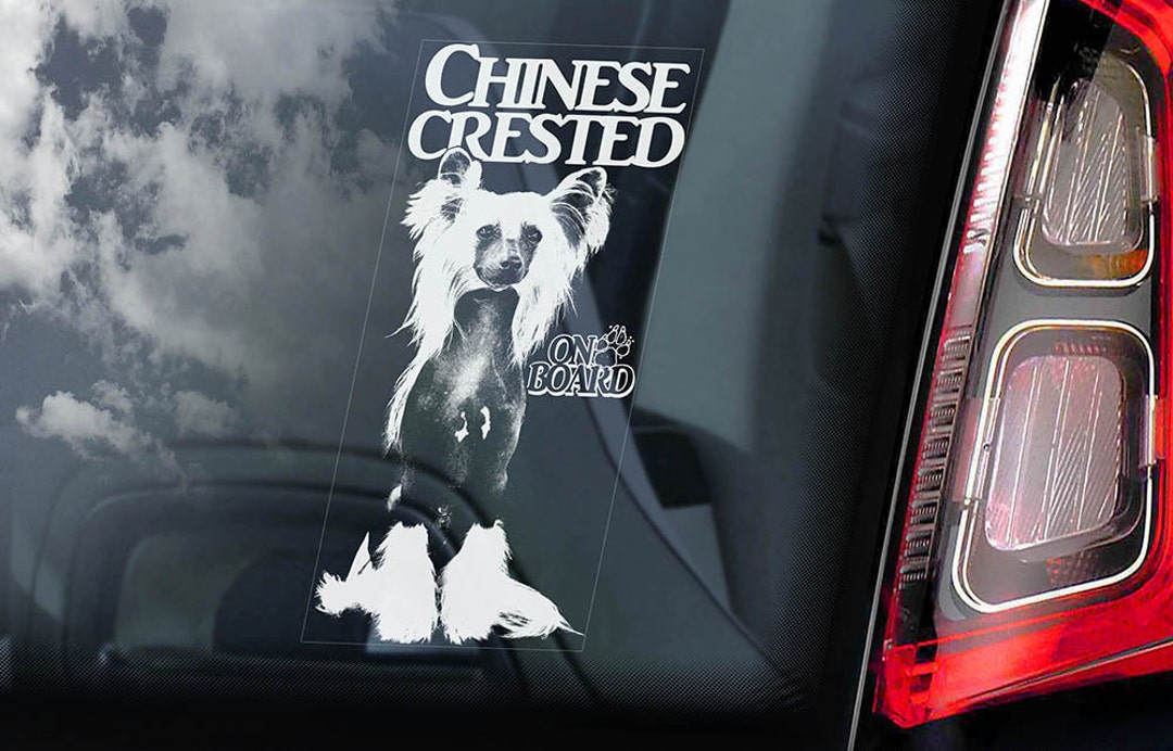 Chinese Crested Dog on Board - Car Window Sticker - Sign Cute Gift Idea ...