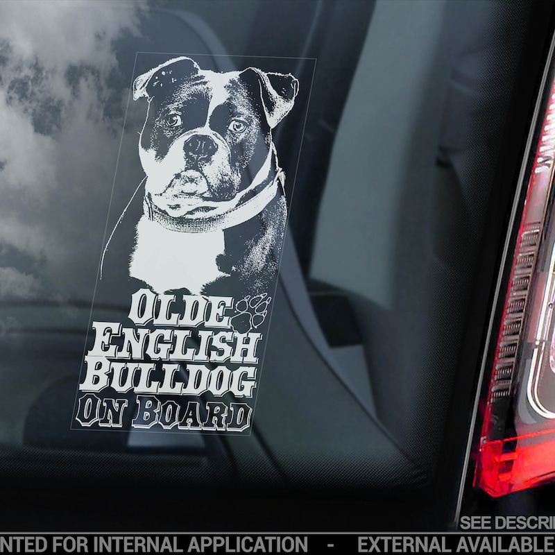 Old English Bulldog - Etsy