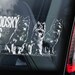 Guide Dog Puppy on Board Car Window Sticker Labrador Retriever Sight ...