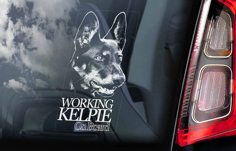 Working Kelpie on Board - Car Window Sticker - Australian Farmer Dog ...