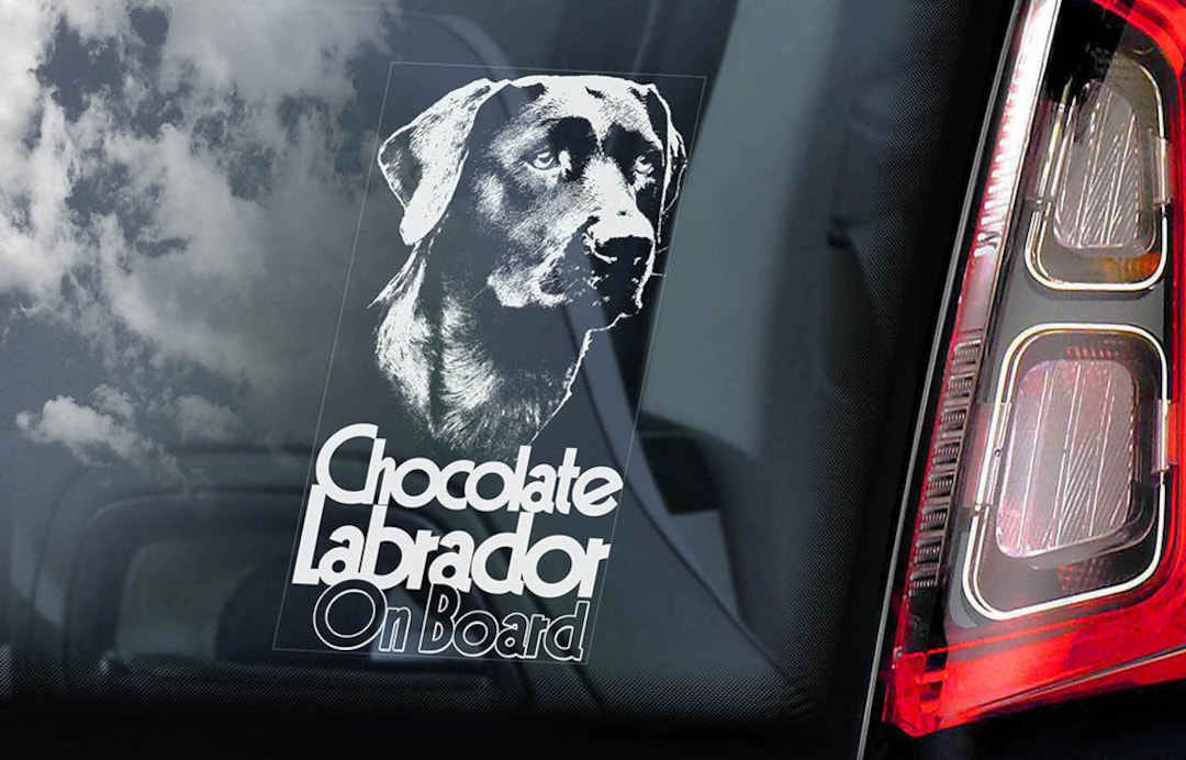 Chocolate Labrador on Board - Car Window Sticker - Retriever Dog Sign ...