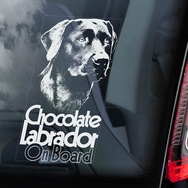Chocolate Labrador - Etsy