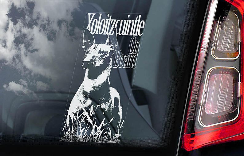 Xoloitzcuintle on Board Car Window Sticker Xolo Dog Sign | Etsy