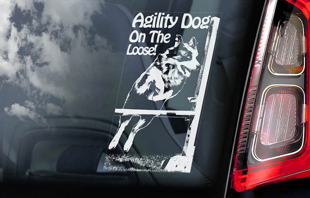 Agility Dog on the Loose! - Car Window Sticker - Dog on Board Sign ...