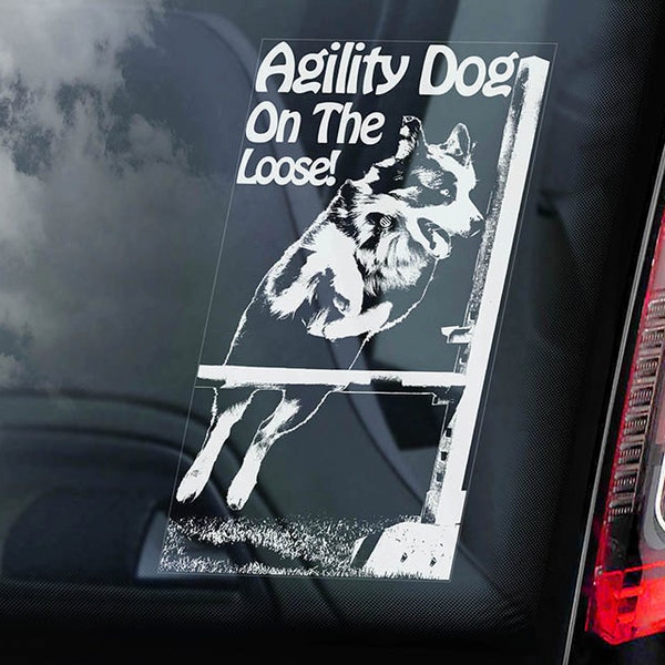 Dog Loose Sign - Etsy