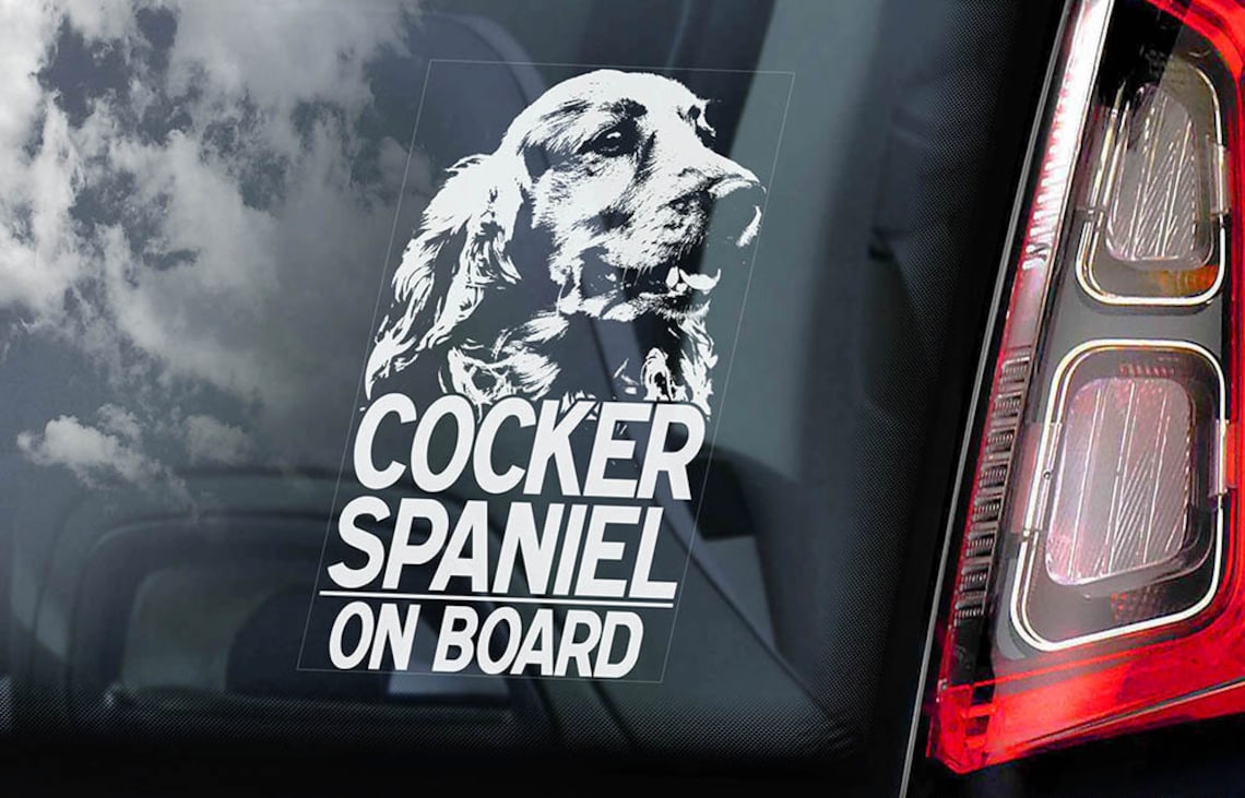 Cocker Spaniel on Board Car Window Sticker English Dog | Etsy UK