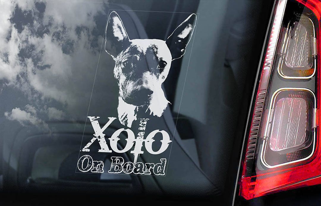 Xolo on Board Car Window Sticker Xoloitzcuintle Dog Sign Decal Mexican ...