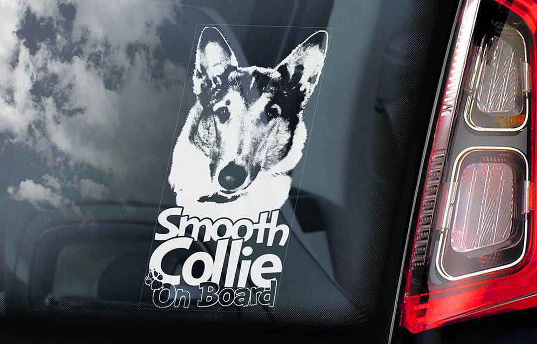 Smooth Collie - Car Window Sticker - Dog Sign Decal Sign Art Gift - V02 ...