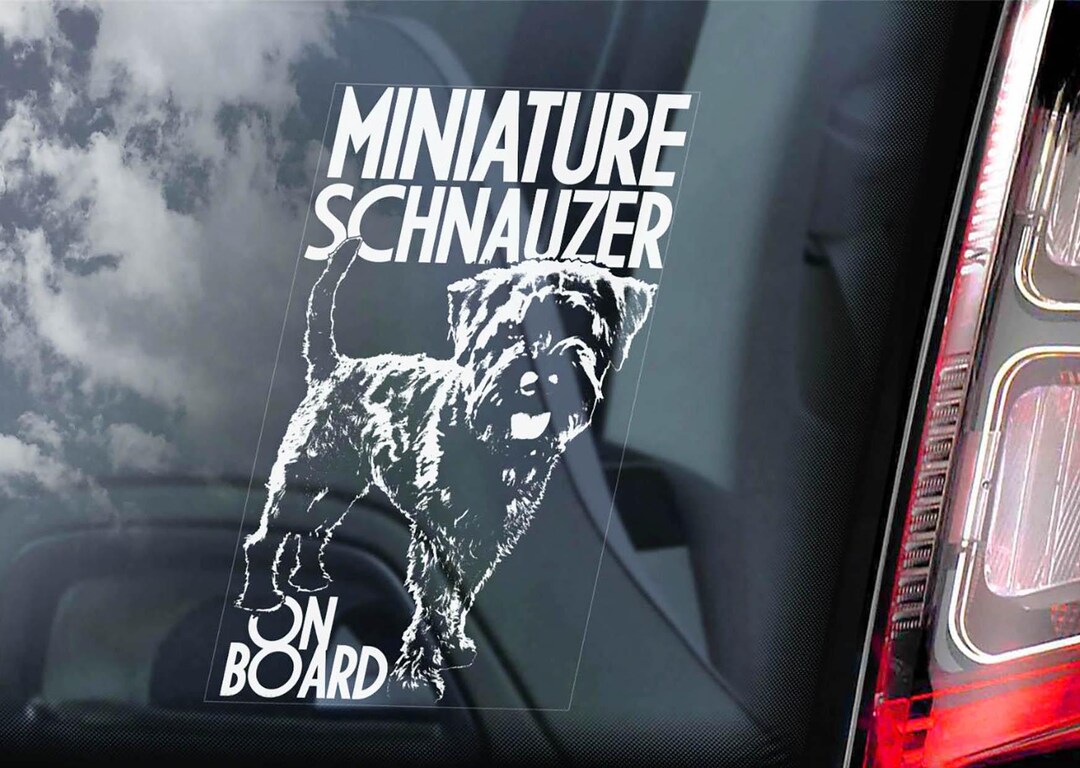 Miniature Schnauzer Dog Sticker, Car Window Sign, Pet Owner Gift -V02 ...