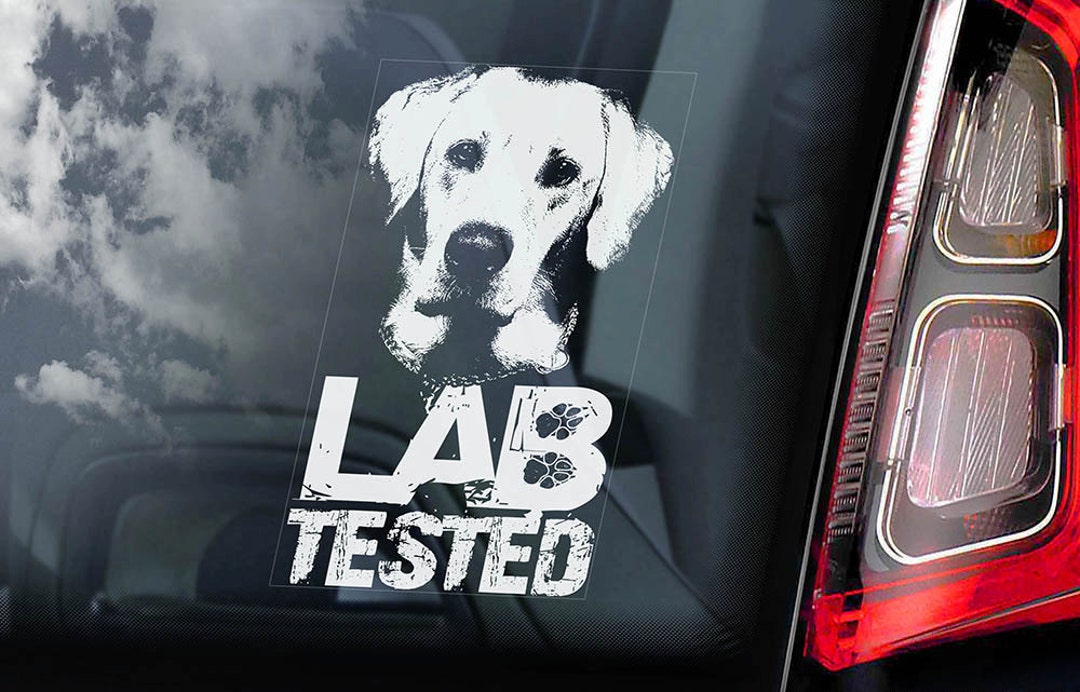 Lab Tested - Car Window Sticker - Labrador Retriever on Board Dog Sign ...