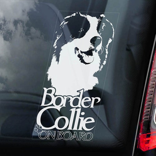 Border Collie on Board Car Window Sticker Dog Sign - Etsy