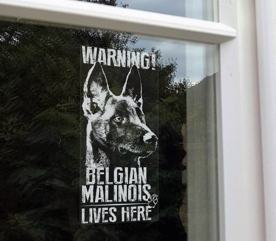 WARNING! Belgian Malinois Lives Here - Window Sticker - Security K9 Dog ...