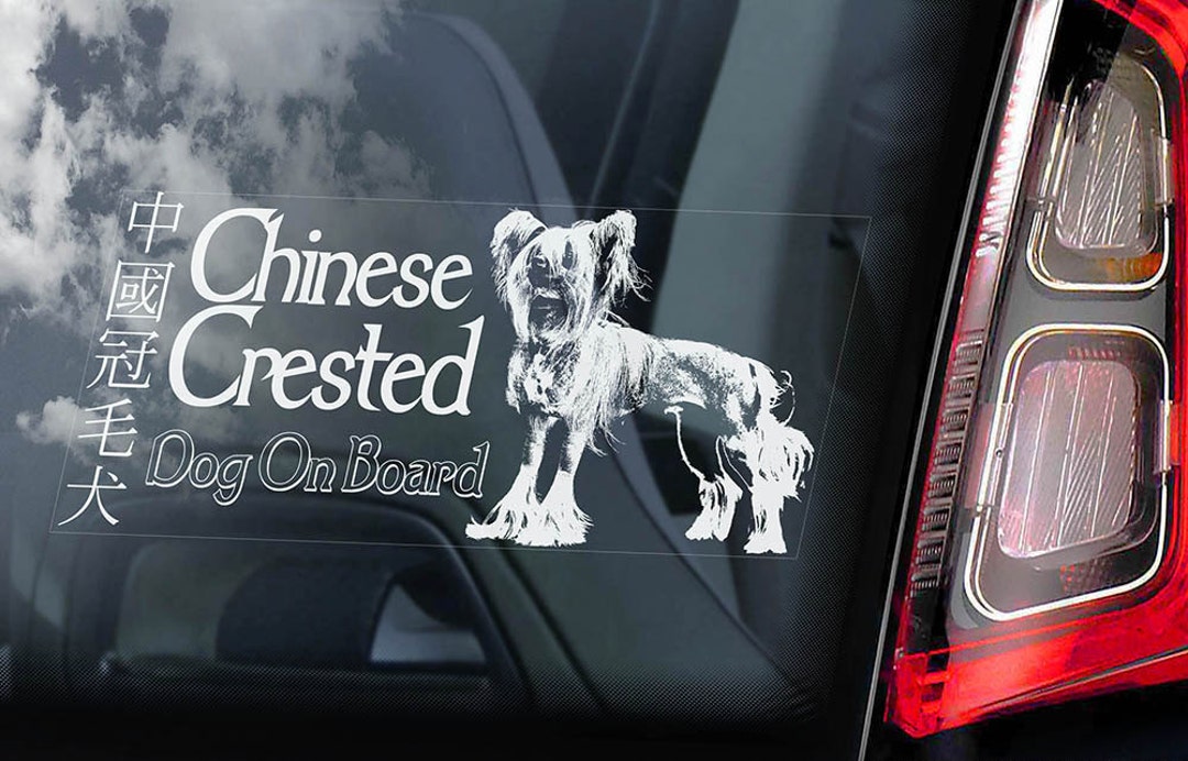 Chinese Crested Dog on Board - Car Window Sticker - Sign Cute Gift Idea ...