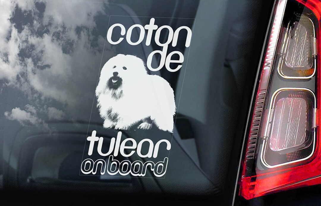 Coton De Tulear on Board - Car Window Sticker - Tuléar Bichon Dog Sign ...