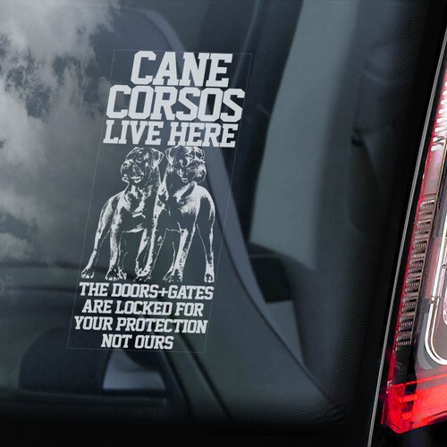 Cane Corso on Board Car Window Sticker Beware of the Dog - Etsy UK