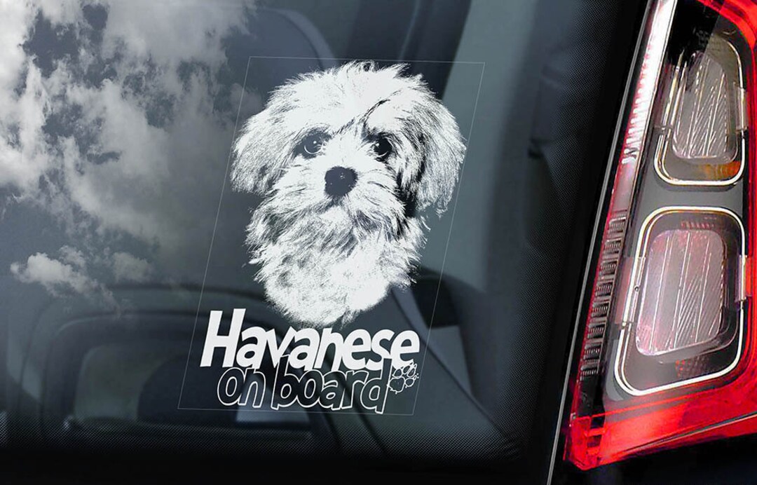 Havanese on Board - Car Window Sticker - Bichon Habanero Dog Sign Decal ...
