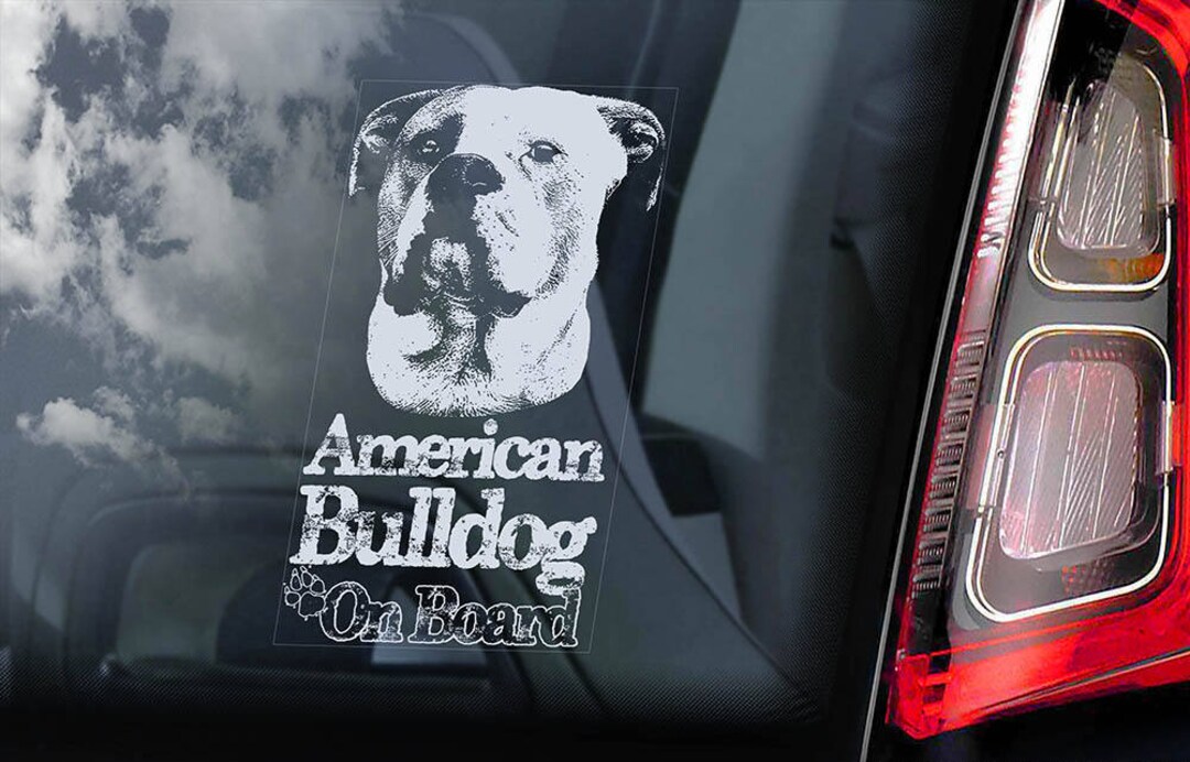 American Bulldog Car Window Sticker - Beware of the Dog Bully Owner ...